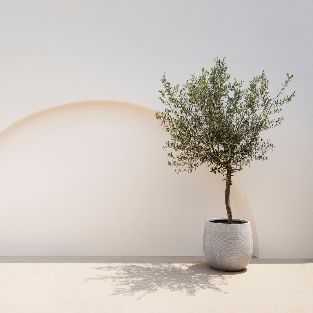Home / Collections
