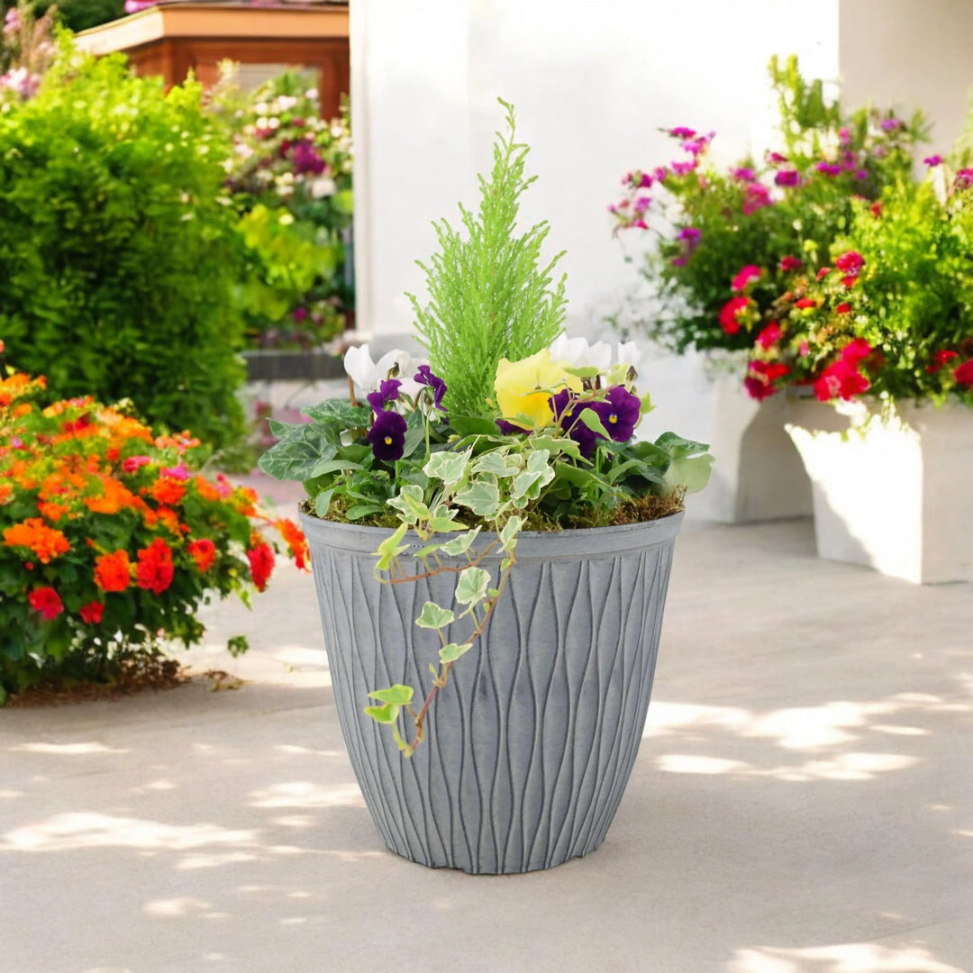 Seasonal Planted Container In 26cm Pot - Plants By Post