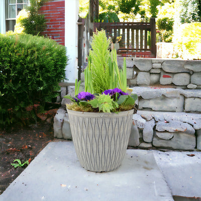 Shop & Send Plants By Post